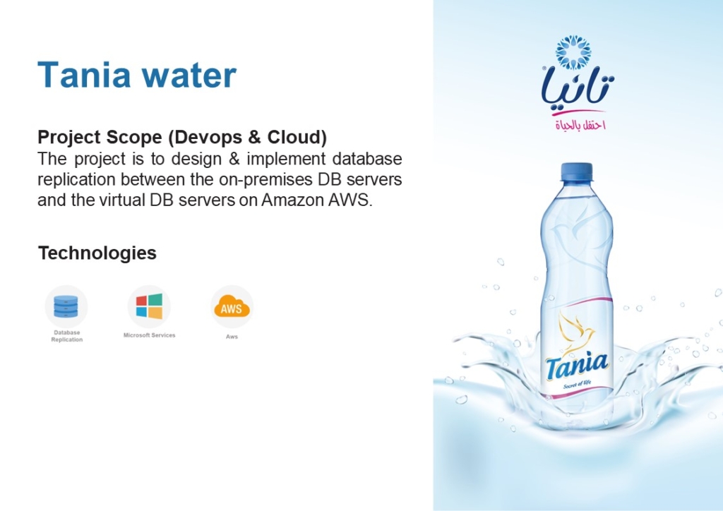 Projects - Silicon Mind